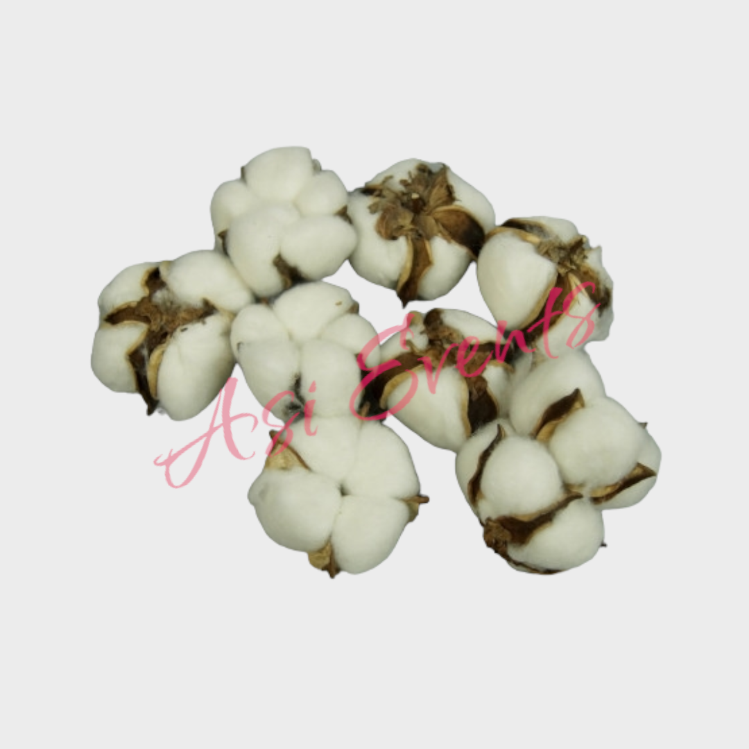 Flori si plate uscate-Asievents.ro